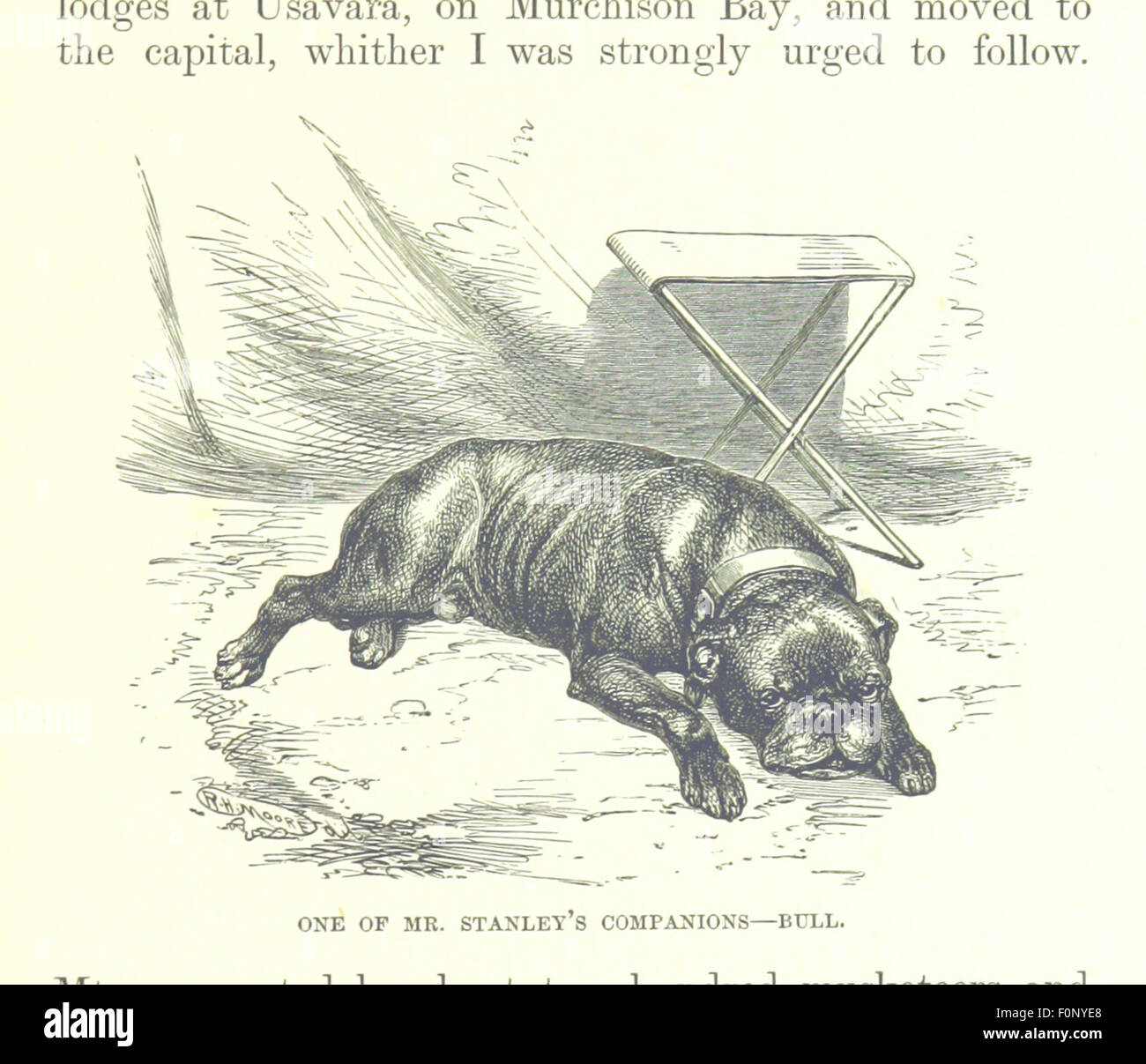 An image from 'Great Explorers of Africa', which highlights the key ...