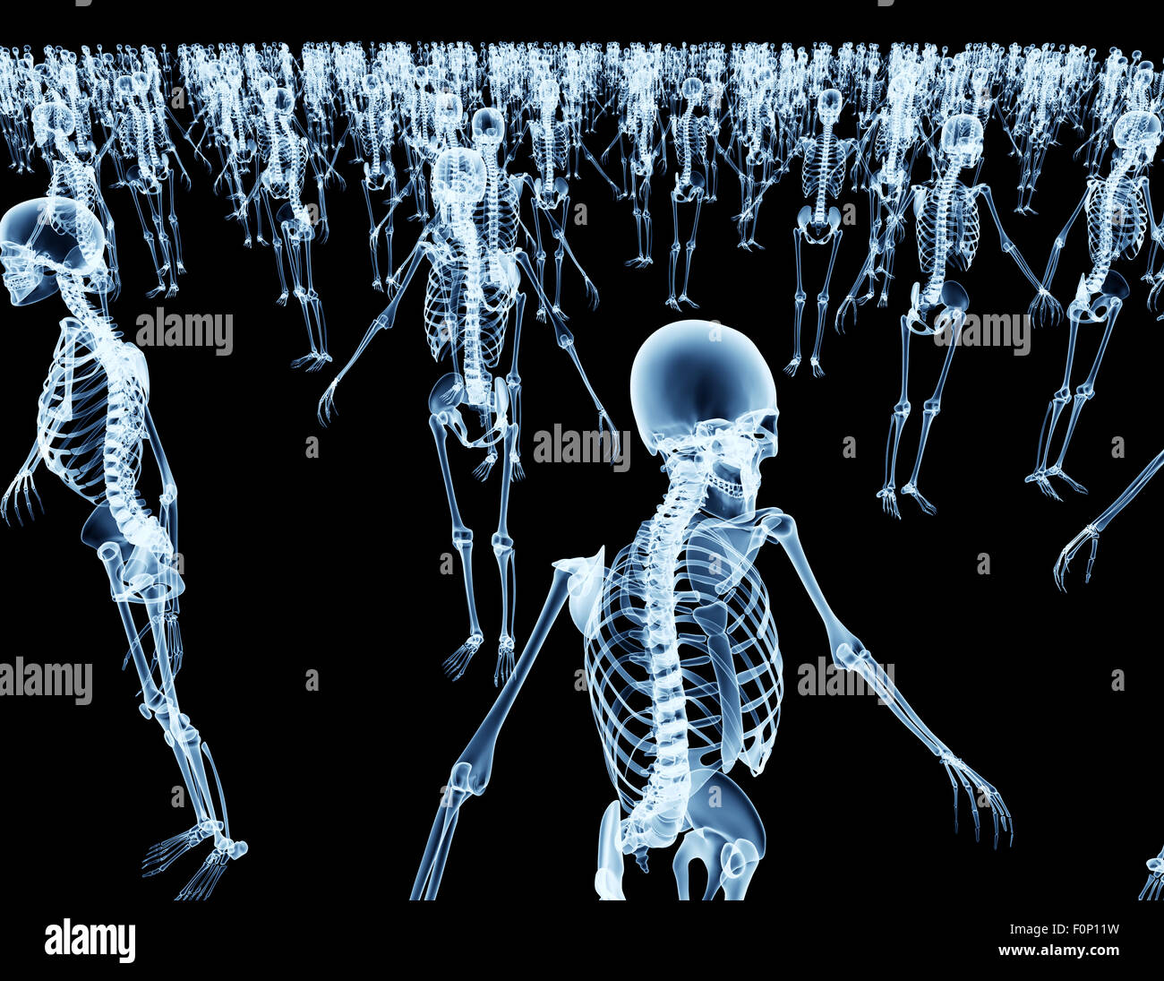 lot of skeletons isolated on black Stock Photo - Alamy