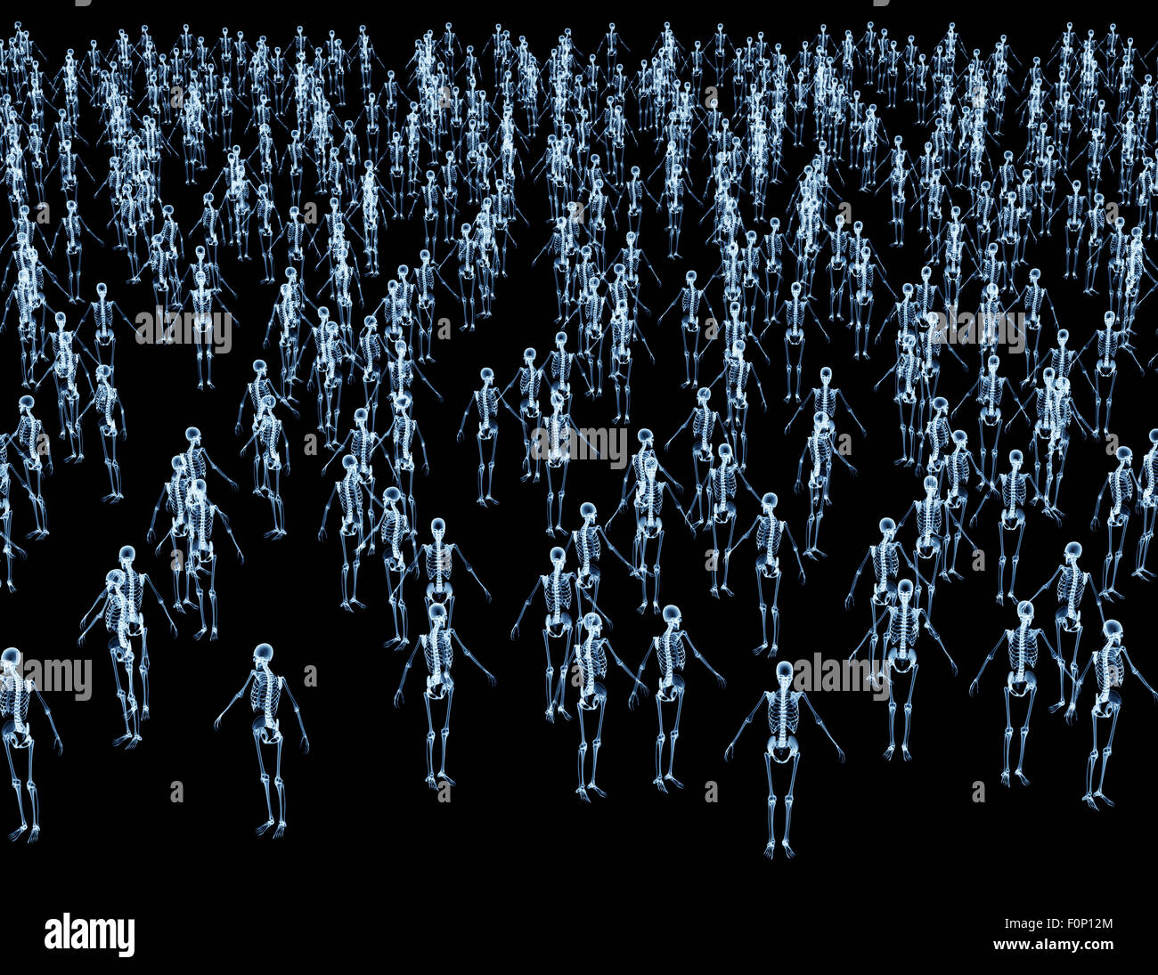 lot of skeletons isolated on black Stock Photo - Alamy