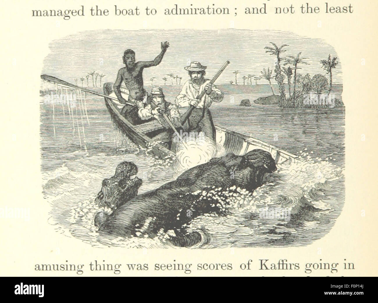 An image from page 38 of 'African Hunting from Natal to the Zambesi ...