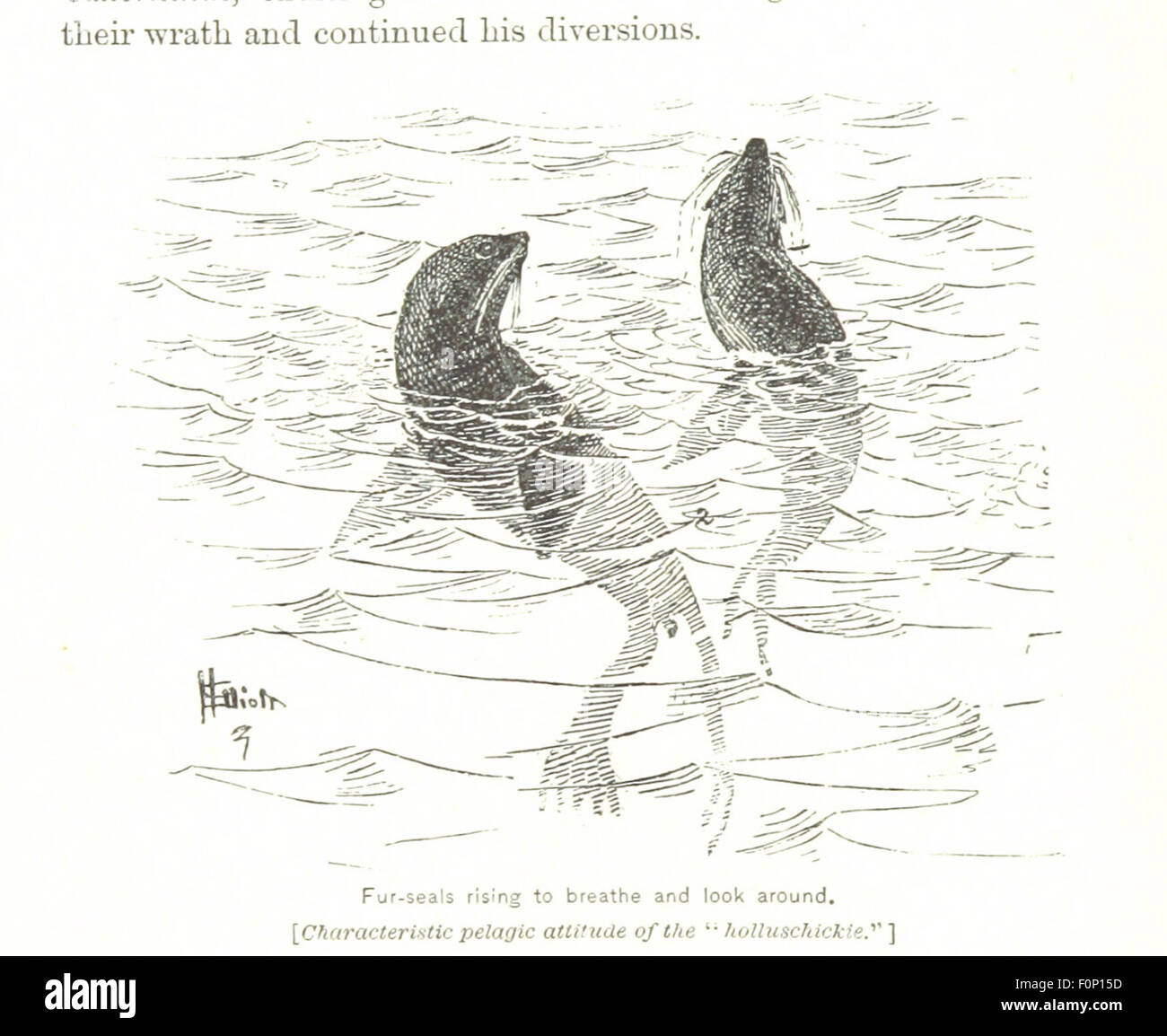 Image taken from page 384 of 'Our Arctic Province,' illustrating the ...