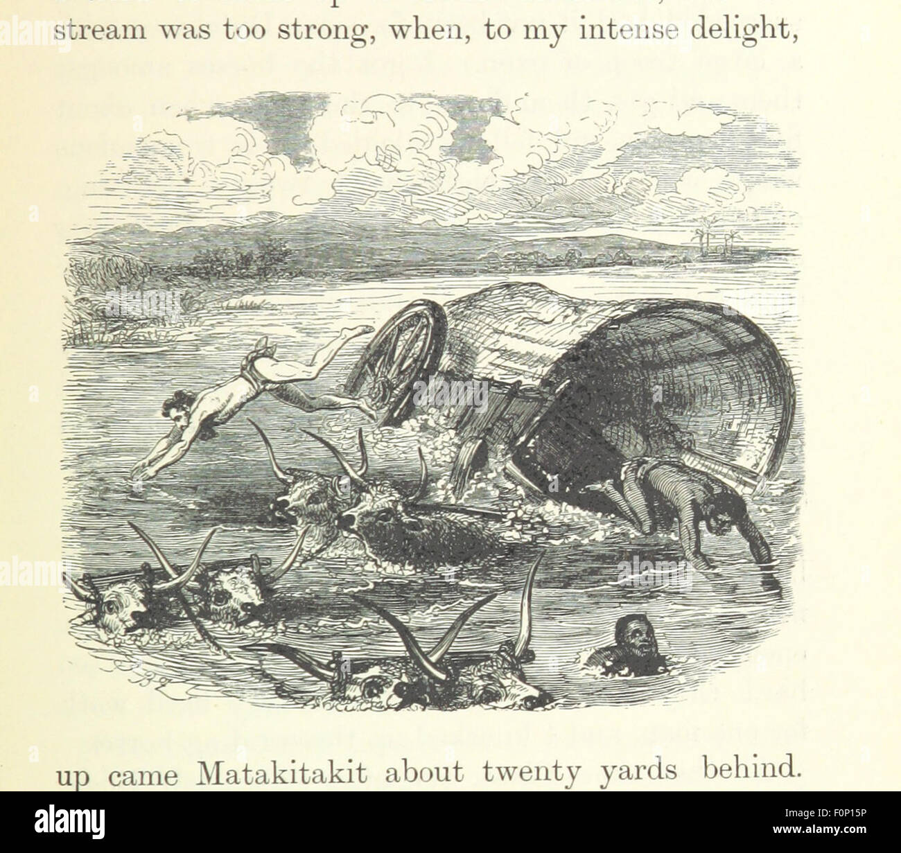 An illustration from page 385 of 'African Hunting from Natal to the ...