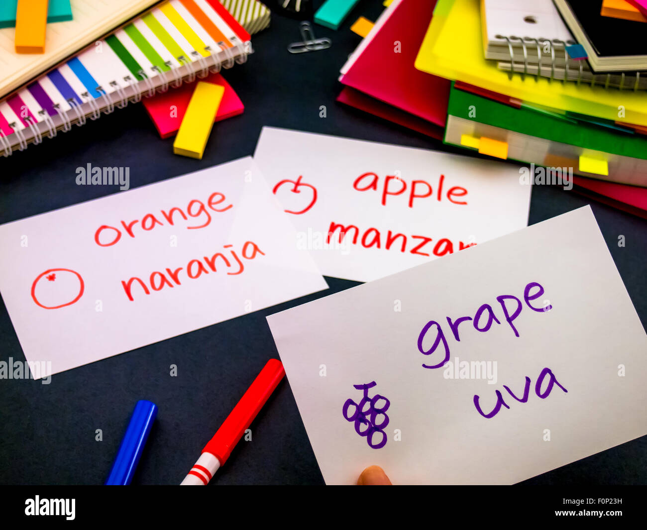 Learning New Language Making Original Flash Cards; Spanish Stock Photo ...