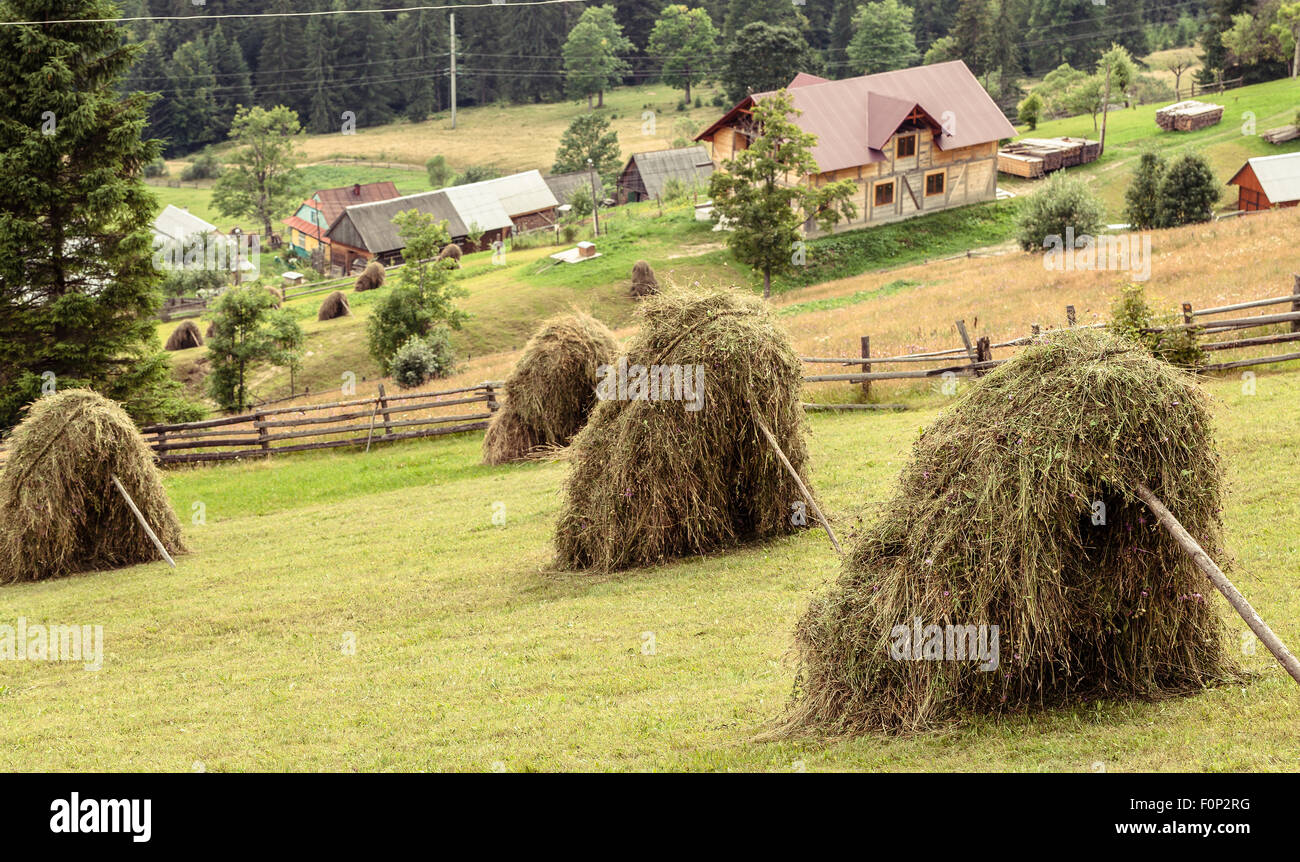 rural landscape, sheaves of hay in the Carpathians Stock Photo - Alamy