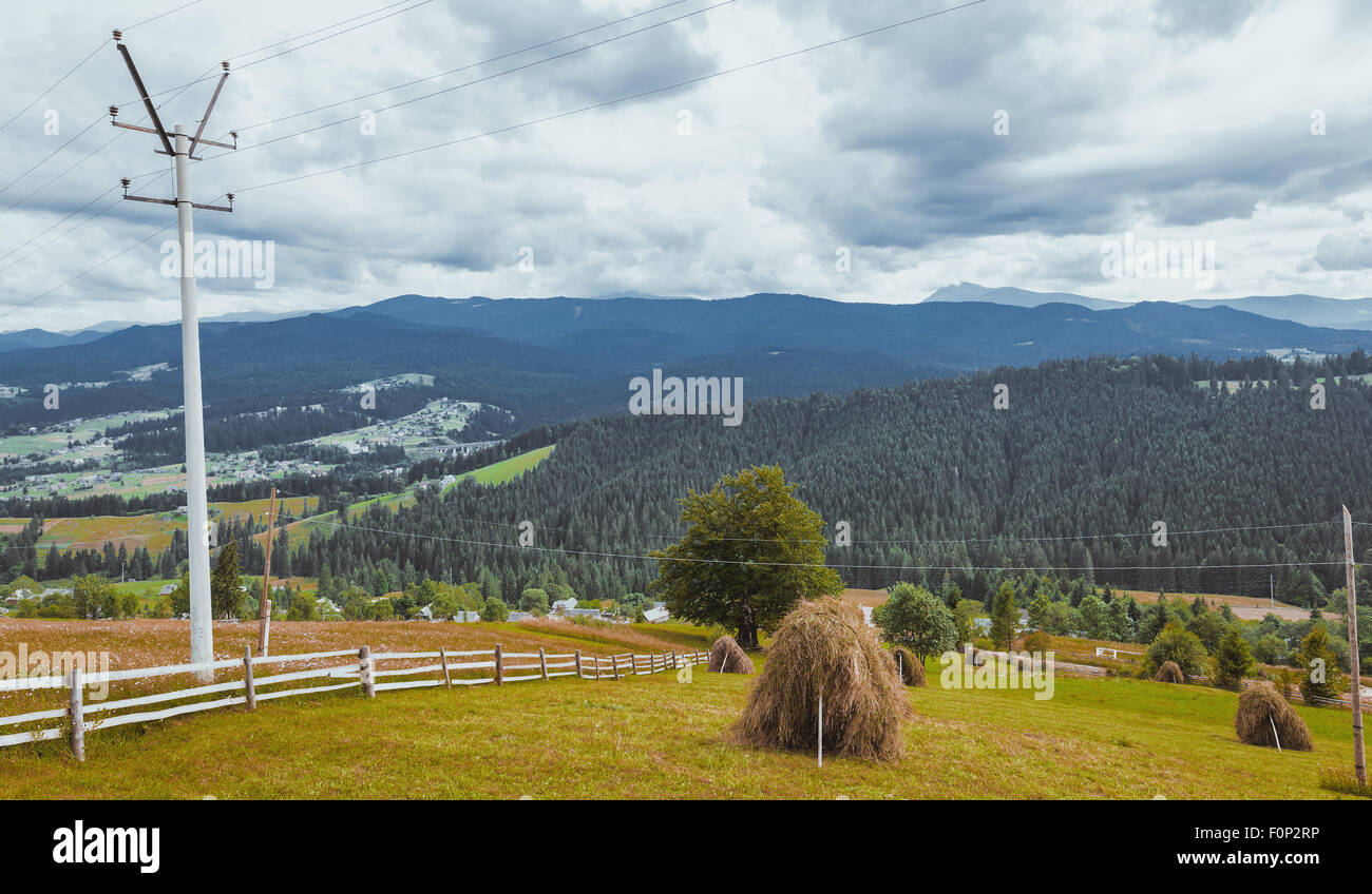 rural landscape, sheaves of hay in the Carpathians Stock Photo - Alamy
