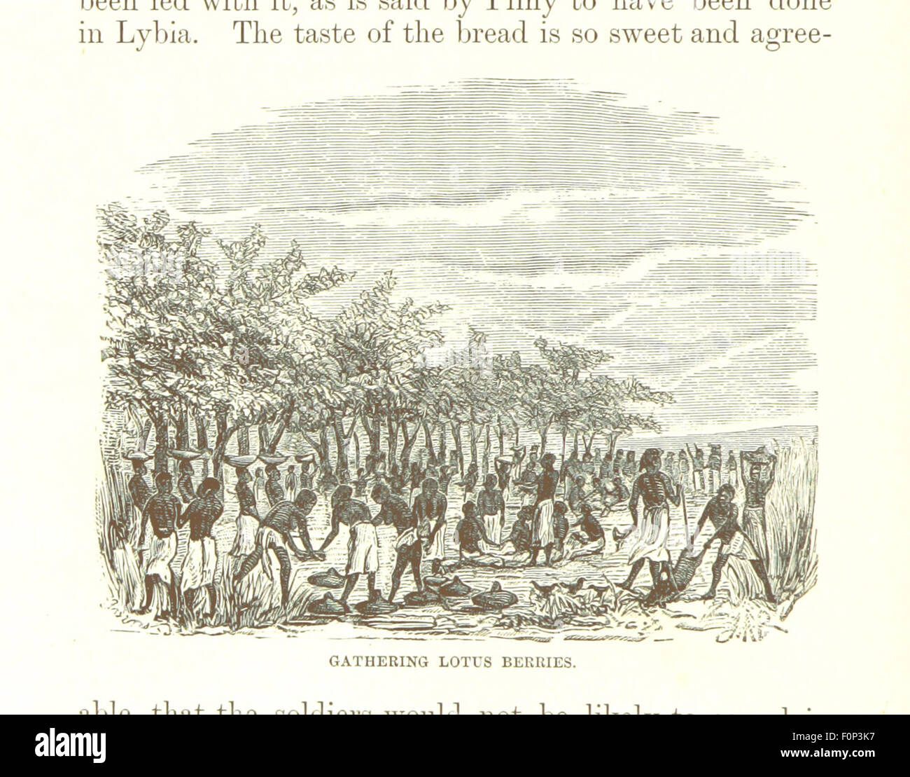 Image from page 76 of 'Great Explorers of Africa', illustrating the ...