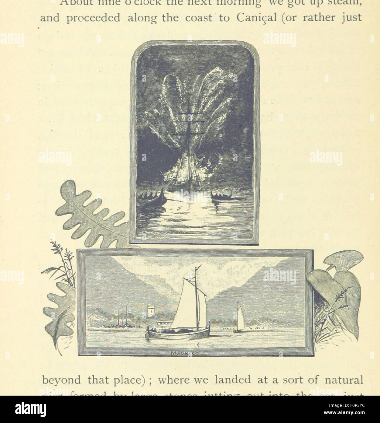 Image from '[In the Trades, the Tropics, & the Roaring Forties ...