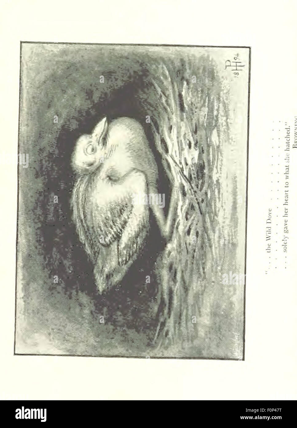 Image from page 99 of 'Bards and the Birds', a collection of poems ...
