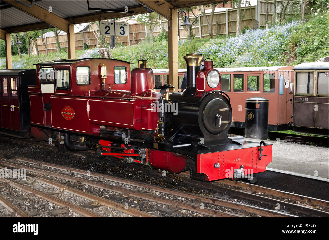bure valley narrow gauge railway steam locomotive mark timothy aylsham ...
