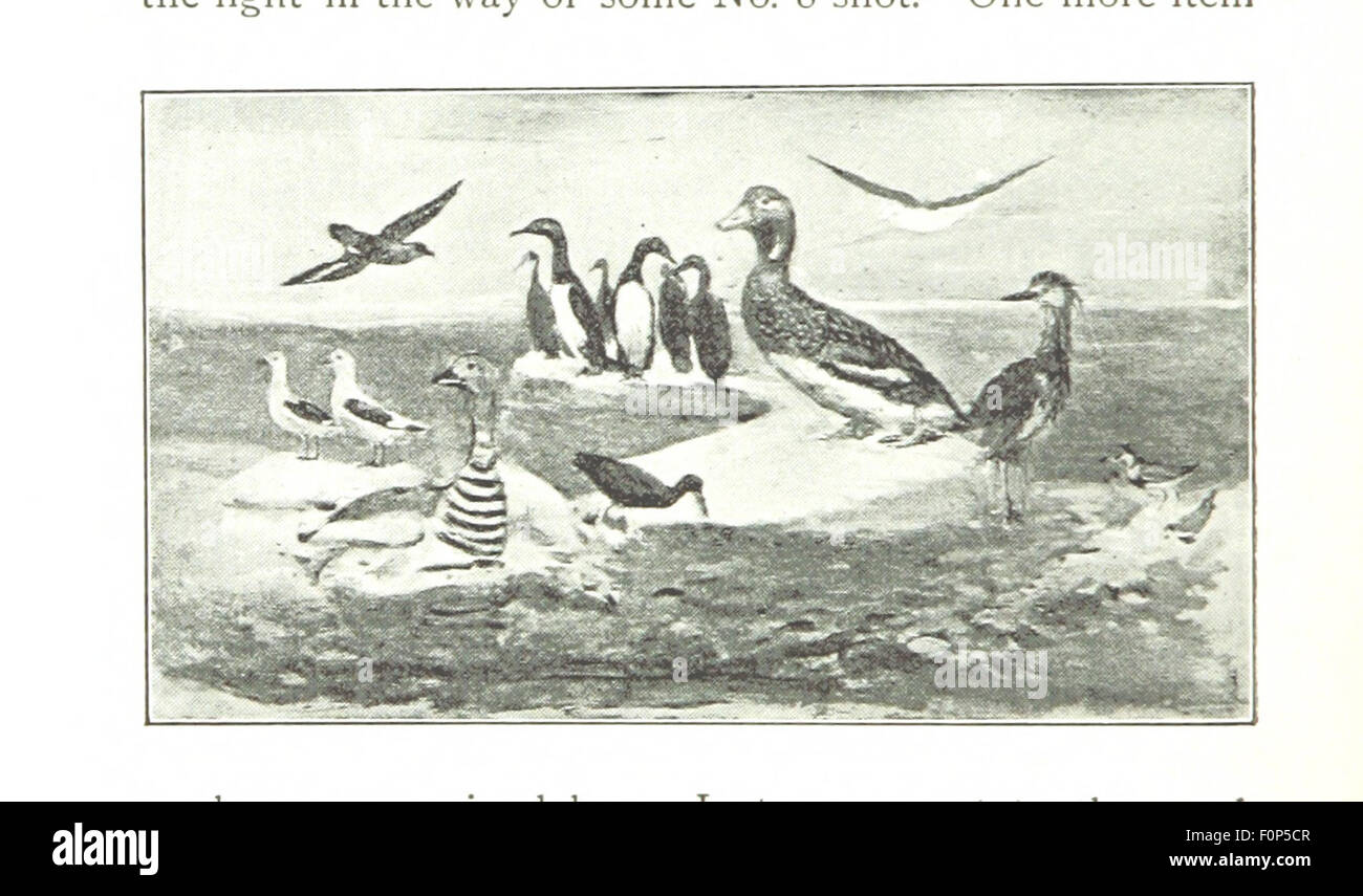 This image is from 'From Edinburgh to the Antarctic', capturing the ...