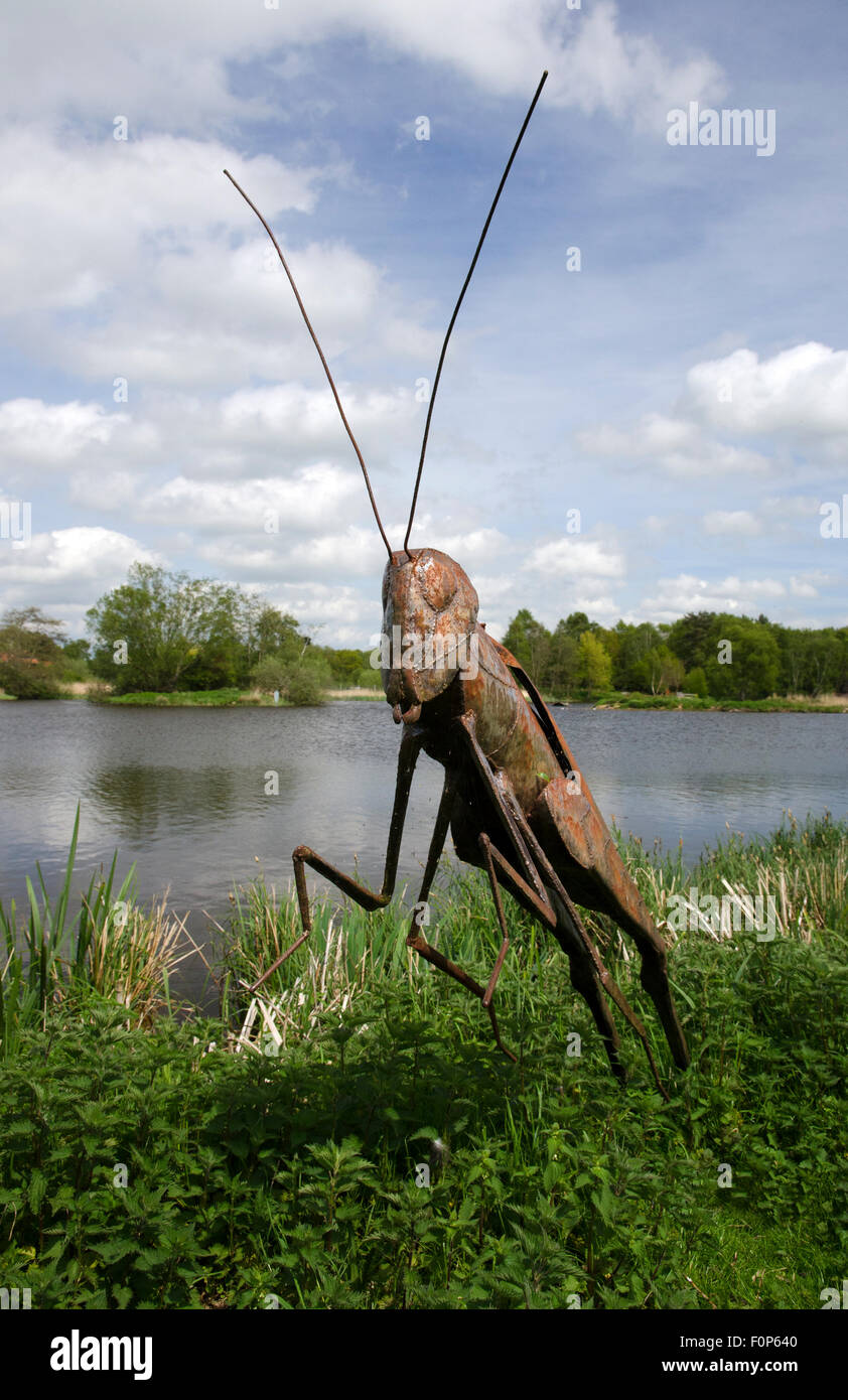 large metal grasshopper display pensthorpe water park norfolk Stock ...