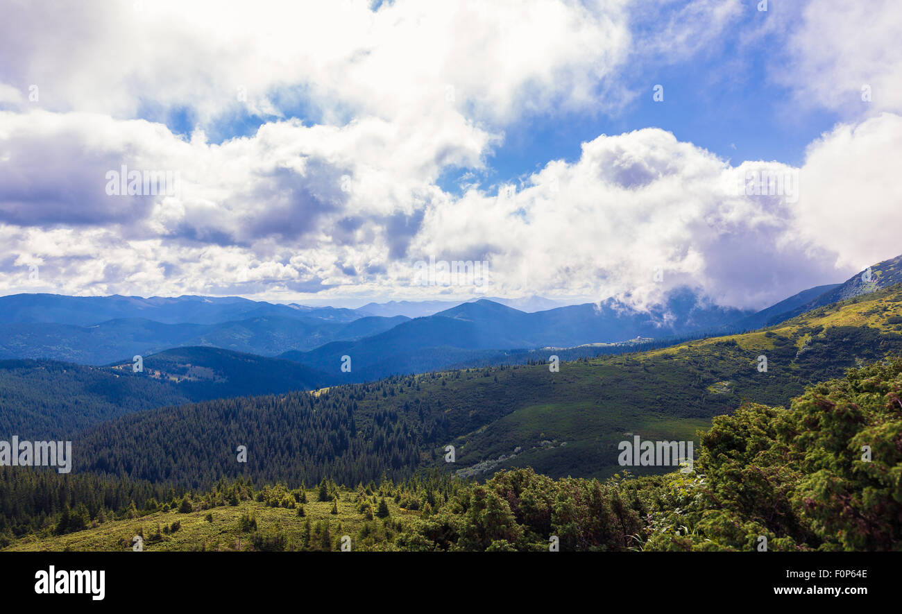summer landscape of the Montenegrin ridge in Carpathians Stock Photo ...