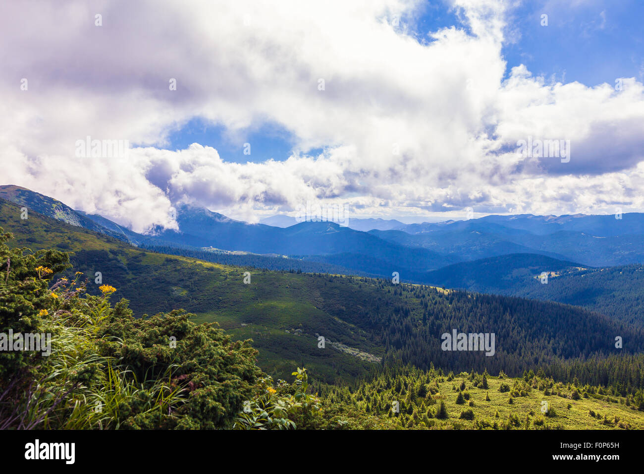 summer landscape of the Montenegrin ridge in Carpathians Stock Photo ...