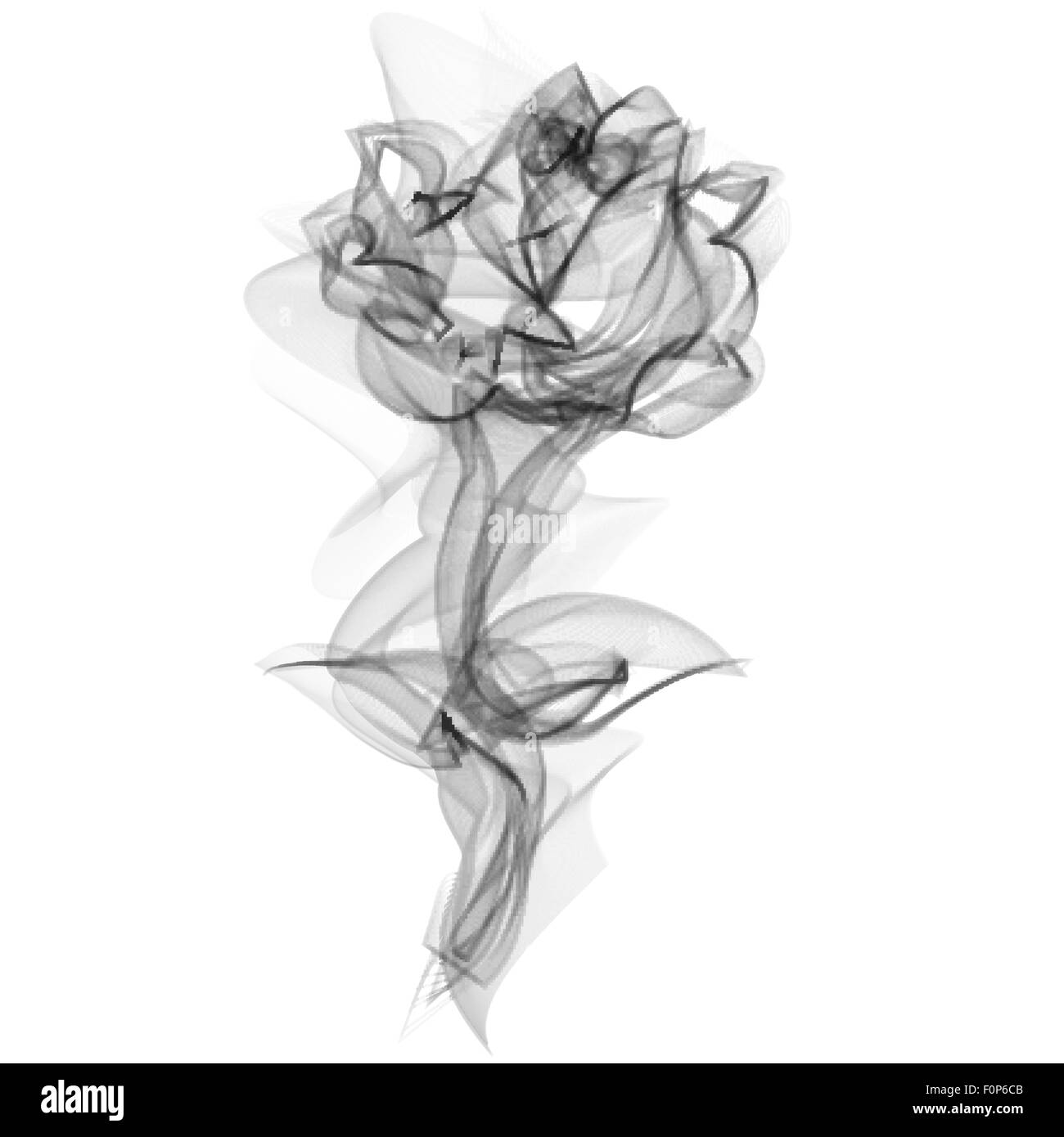 Realistic Smokey Rose Isolated on White Stock Vector Image & Art - Alamy