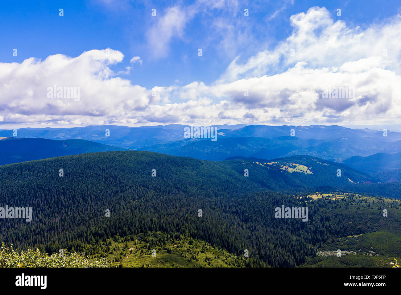 summer landscape of the Montenegrin ridge in Carpathians Stock Photo ...
