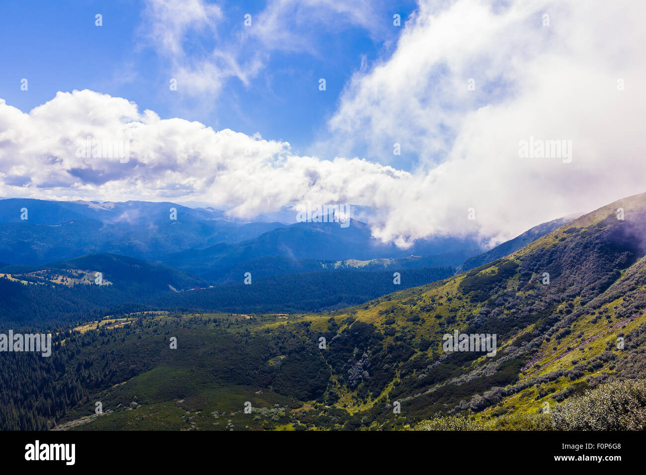 summer landscape of the Montenegrin ridge in Carpathians Stock Photo ...