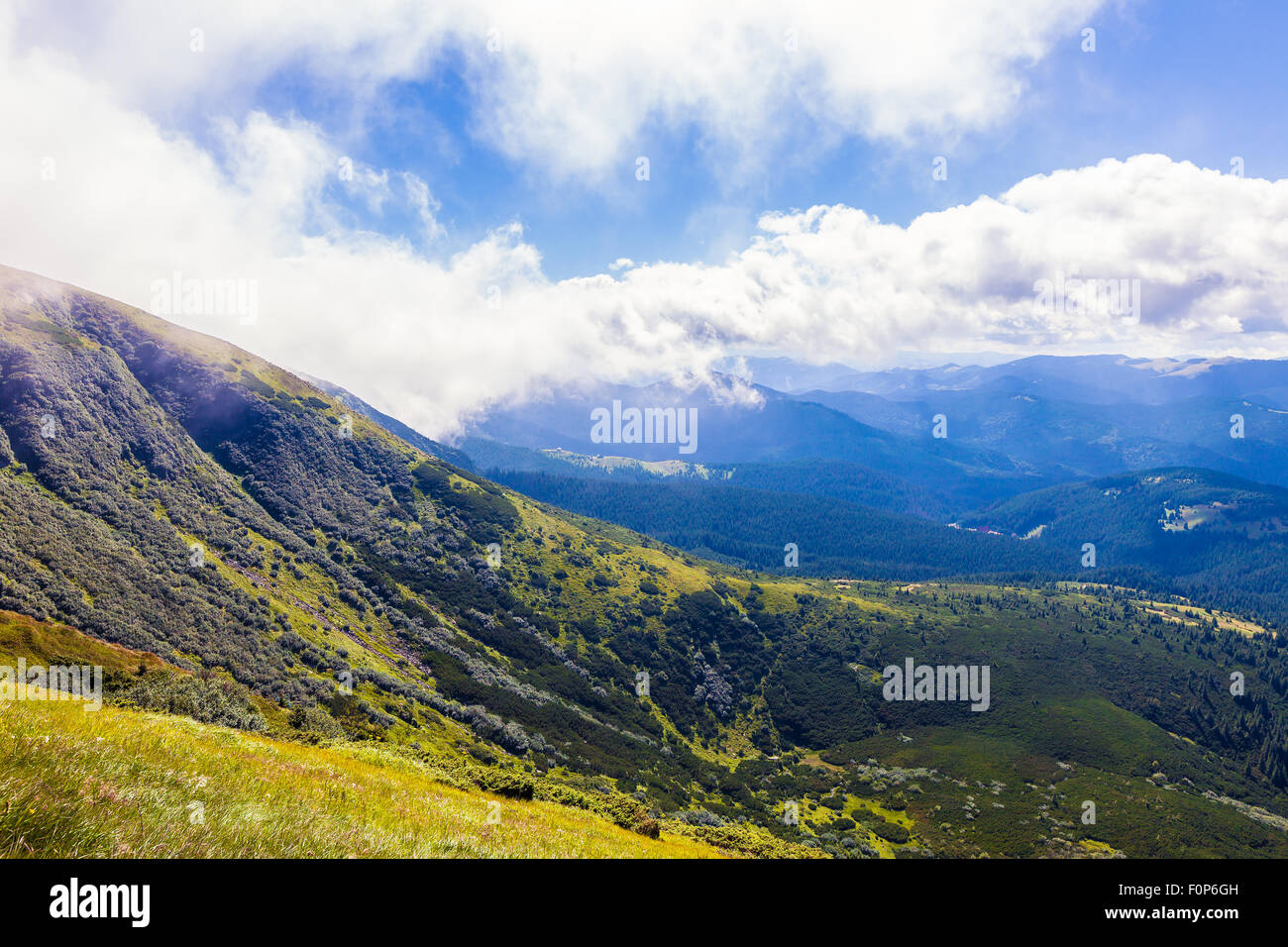 summer landscape of the Montenegrin ridge in Carpathians Stock Photo ...