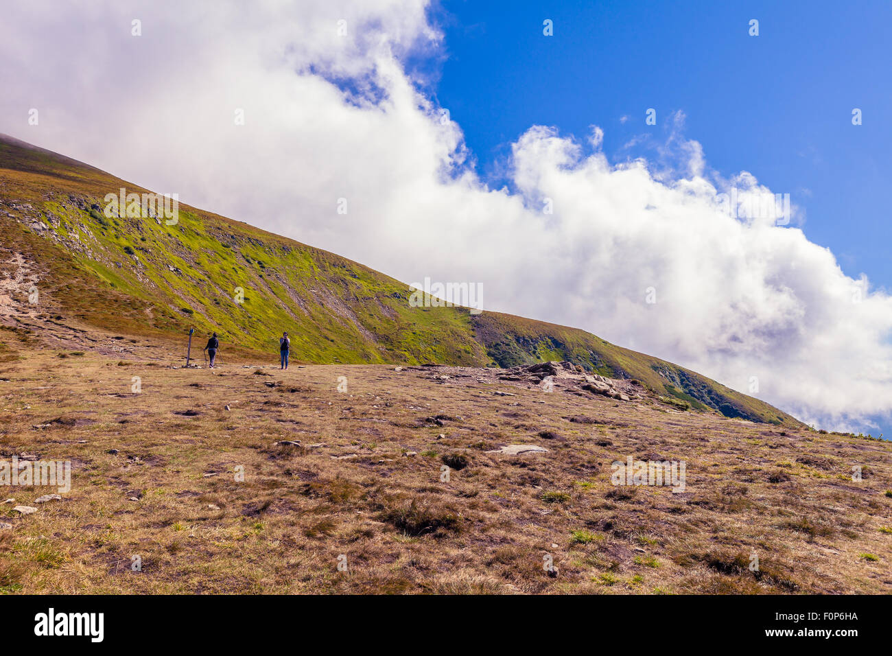 mountain Goverla summer nature landscape mountains Carpathians Ukraine ...