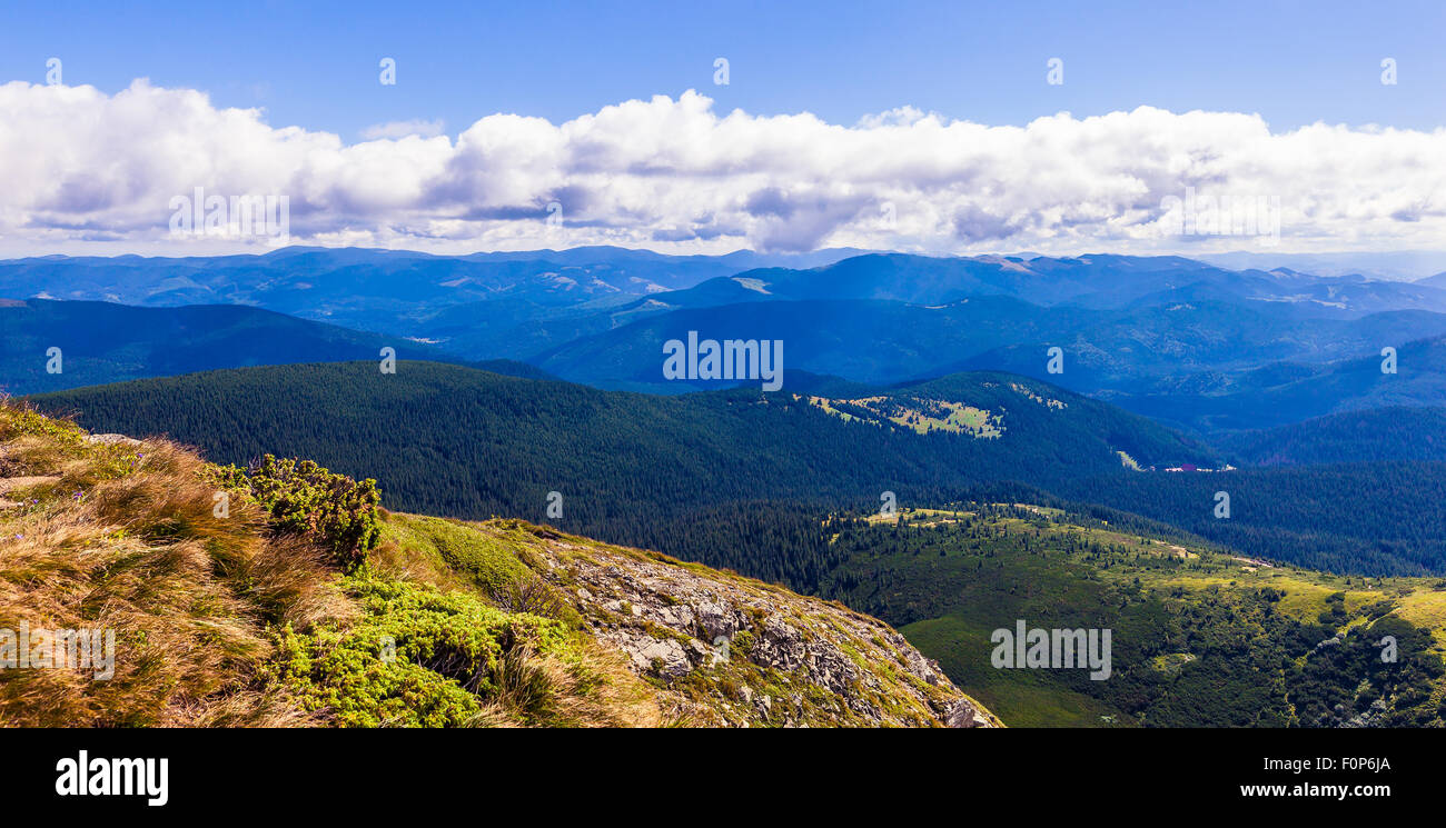 summer landscape of the Montenegrin ridge in Carpathians Stock Photo ...