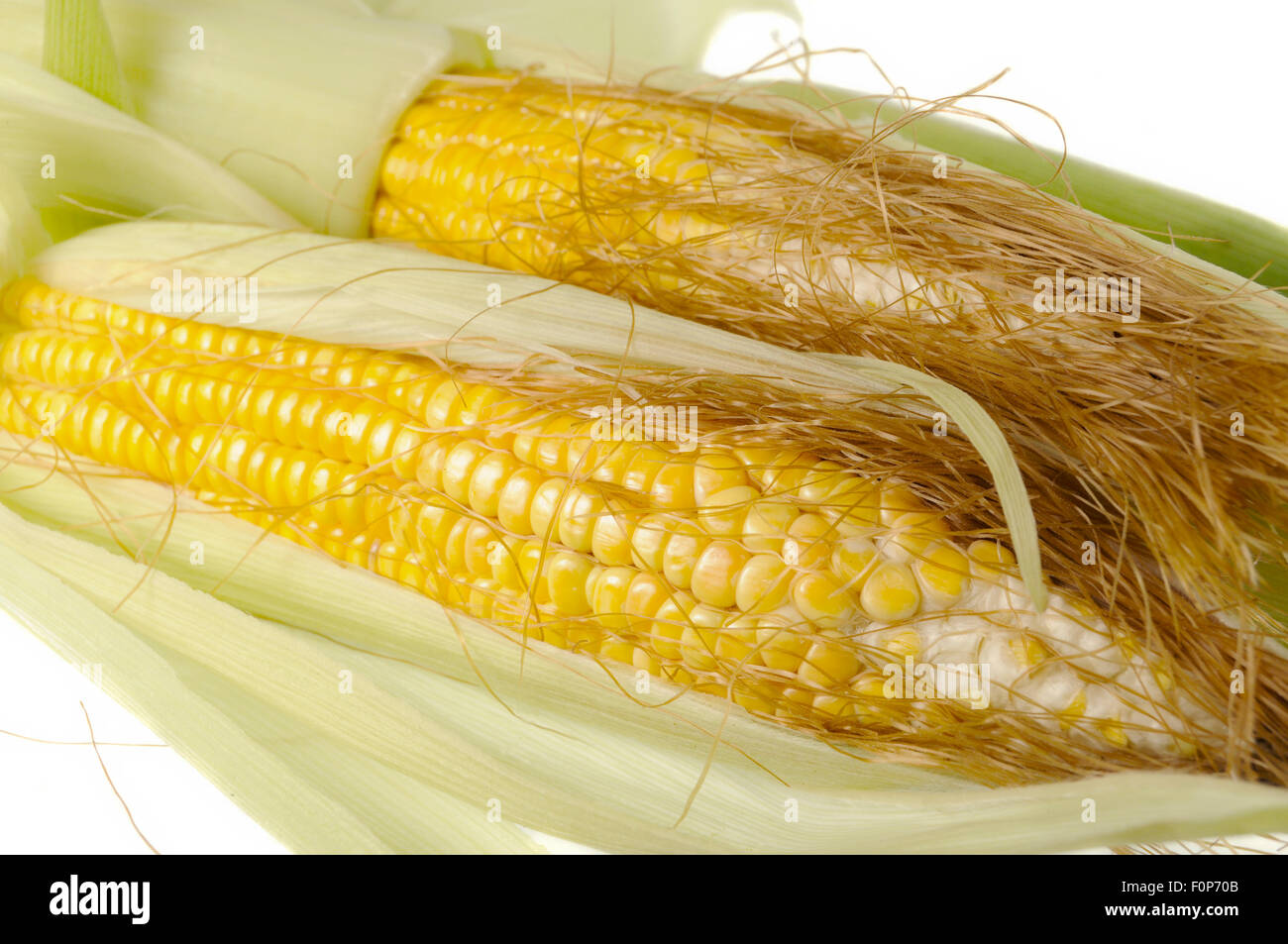 yellow corn cobs isolated on white Stock Photo - Alamy