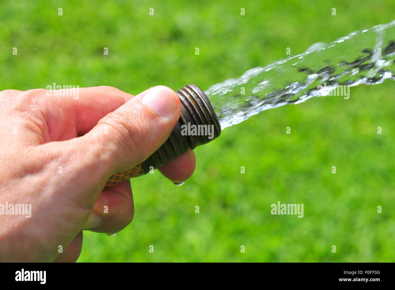 Drip hose hi-res stock photography and images - Alamy