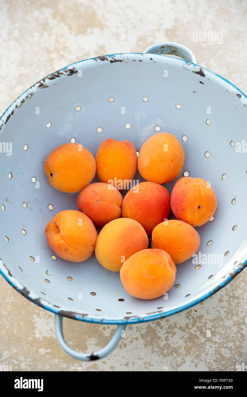 English grown apricots hi-res stock photography and images - Alamy