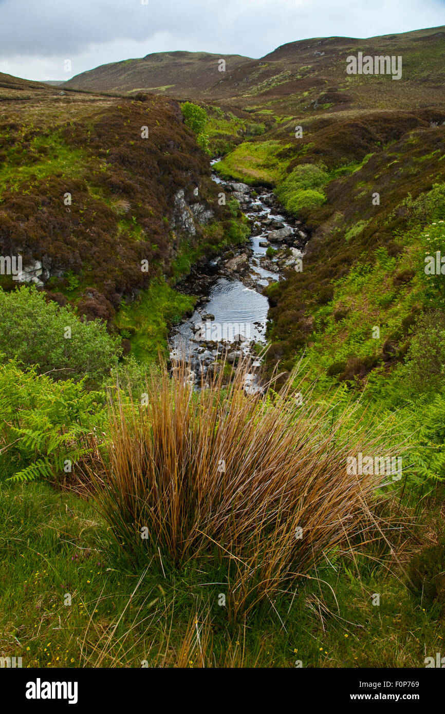 Moor lewis hi-res stock photography and images - Alamy