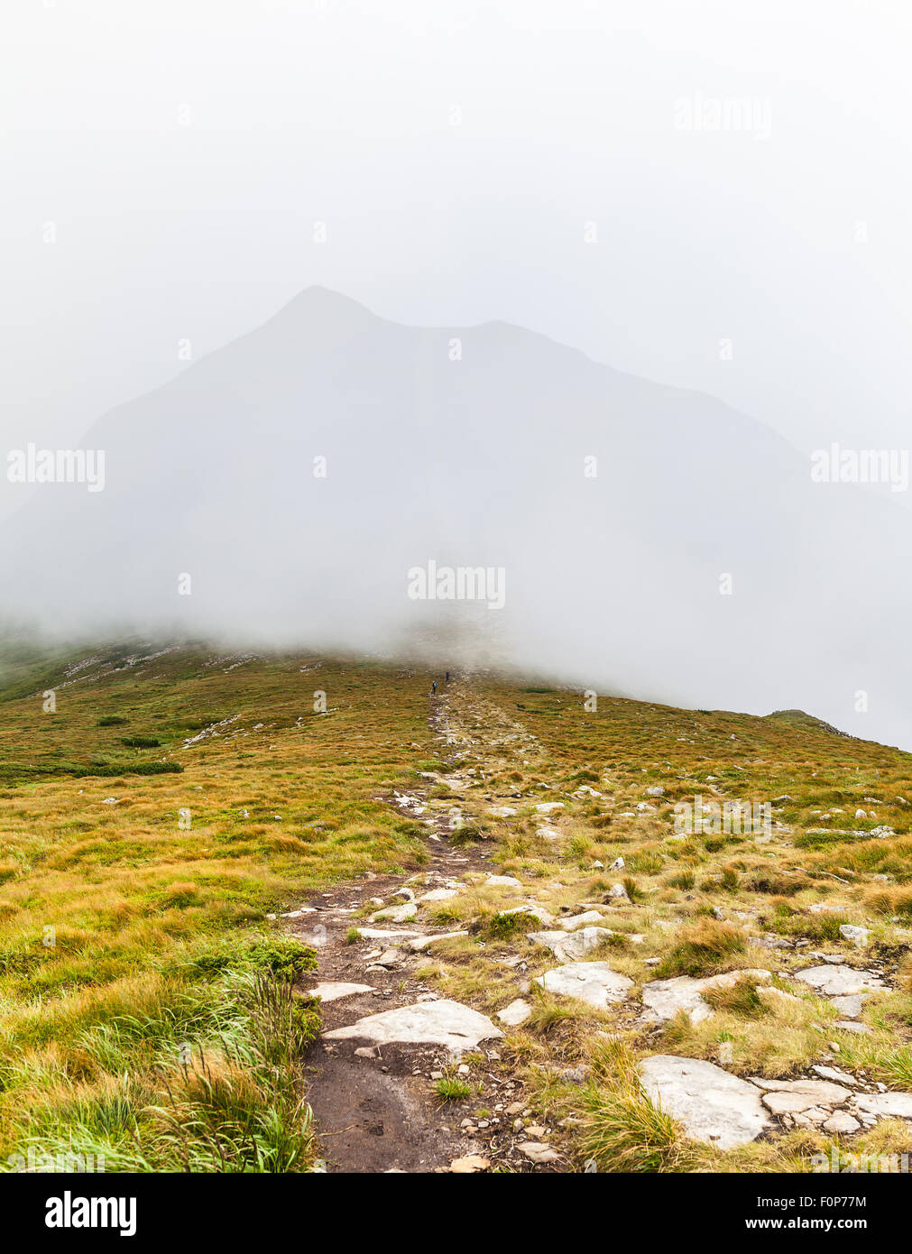 Carpathian landscape, view from the mountain Goverla Stock Photo - Alamy