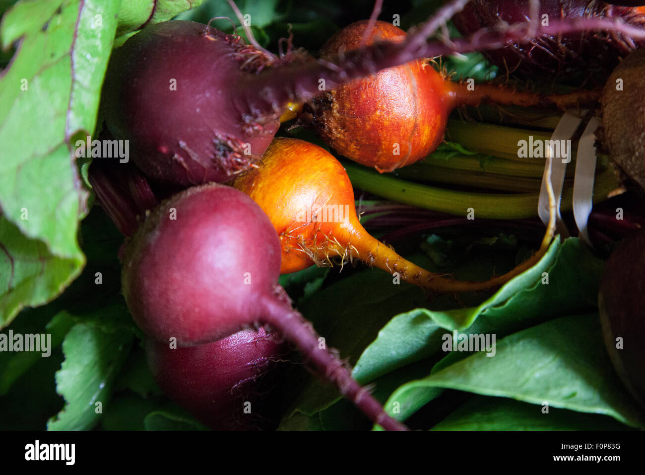 Farm fresh food Stock Photo - Alamy