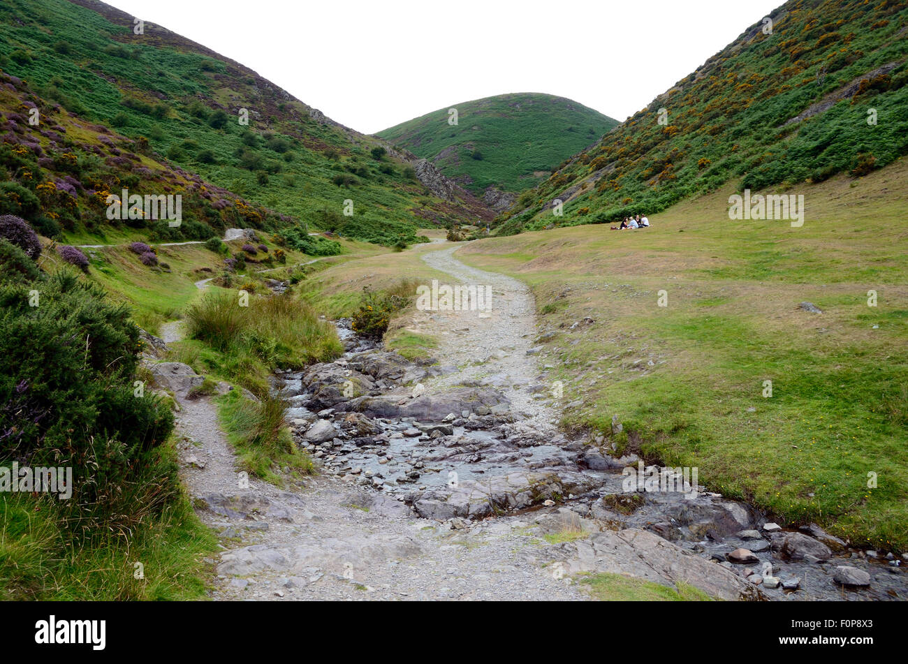 Carding mill valley shropshire hills hi-res stock photography and ...