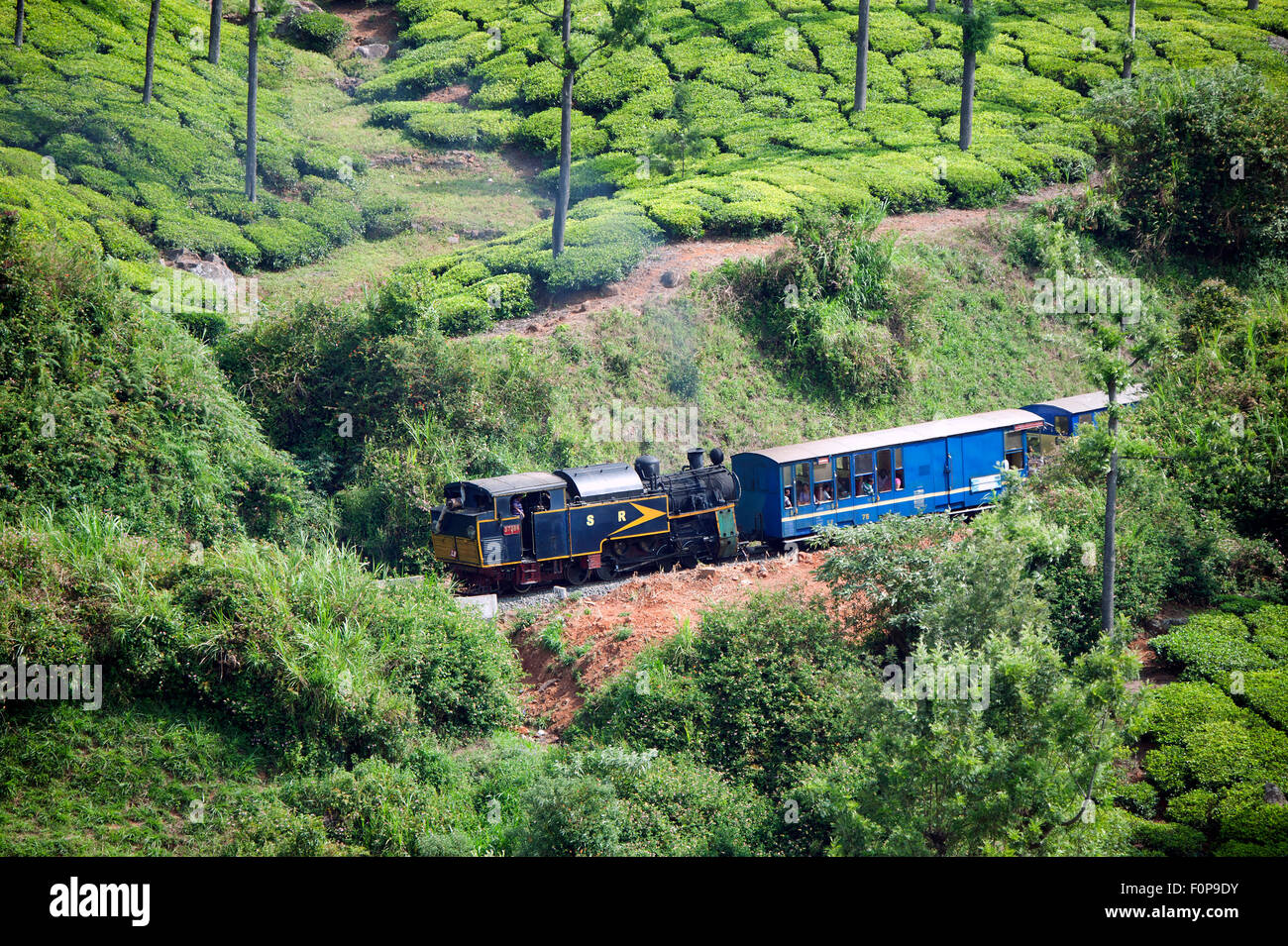 The image was shot in Coonoor-India Stock Photo - Alamy