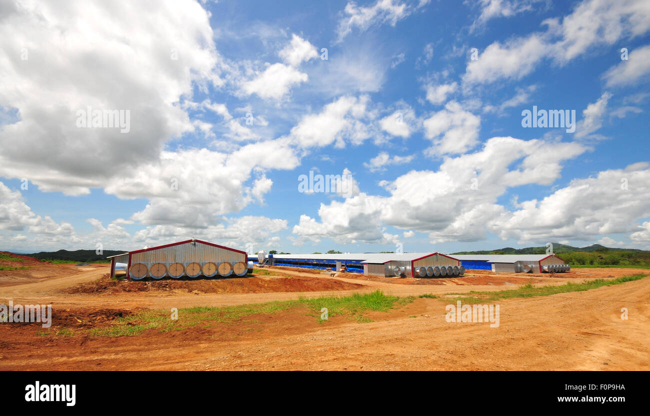 Modern poultry houses with tunnel ventilation systems in the ...
