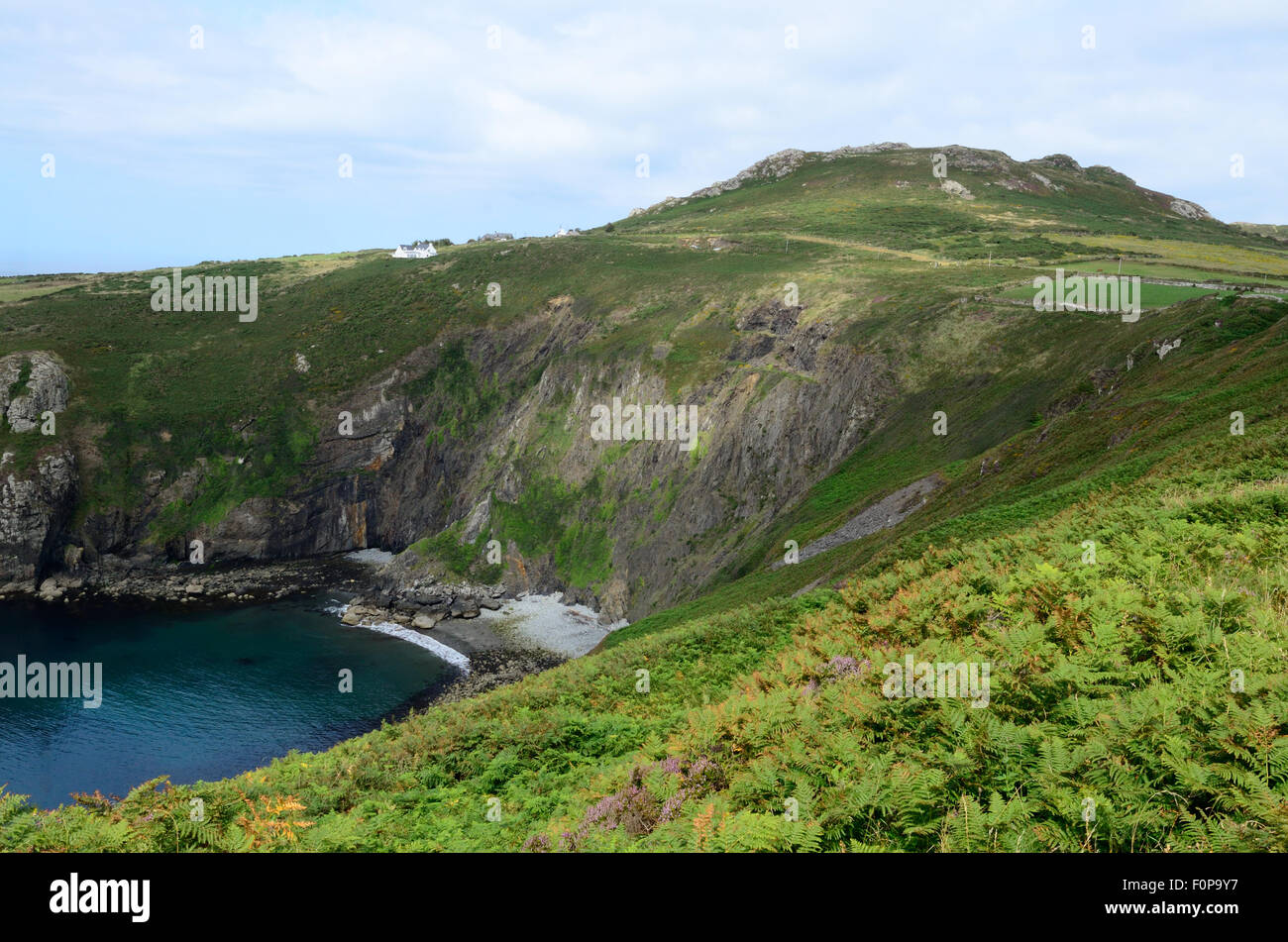 Deri hi-res stock photography and images - Alamy