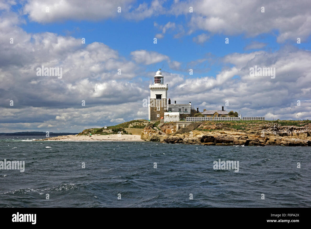 Lighthouse on Coquet Island, Amble, Northumberland Stock Photo - Alamy