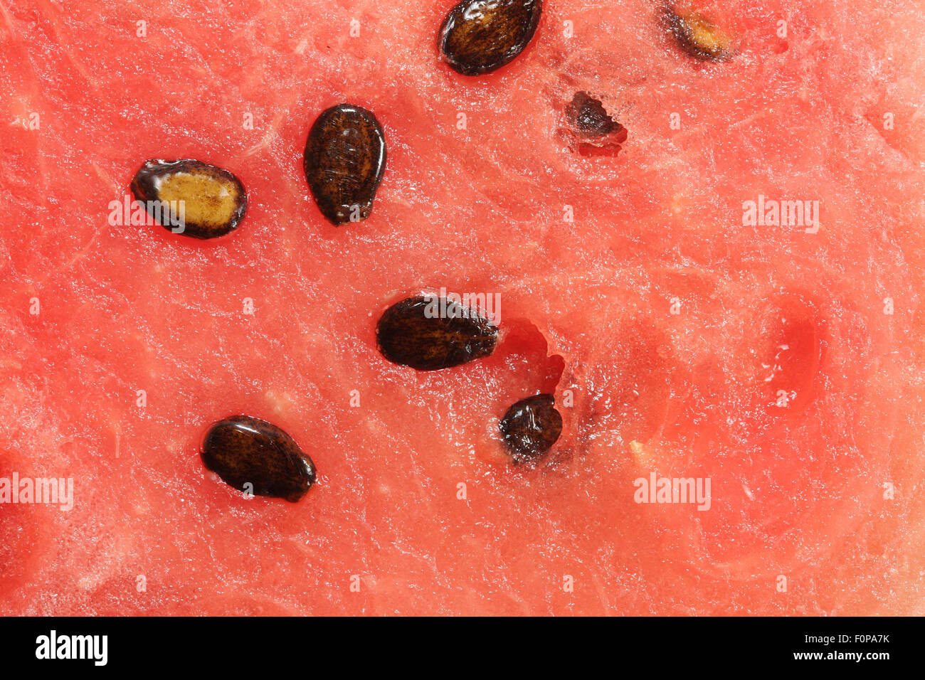Watermelon detail hi-res stock photography and images - Alamy