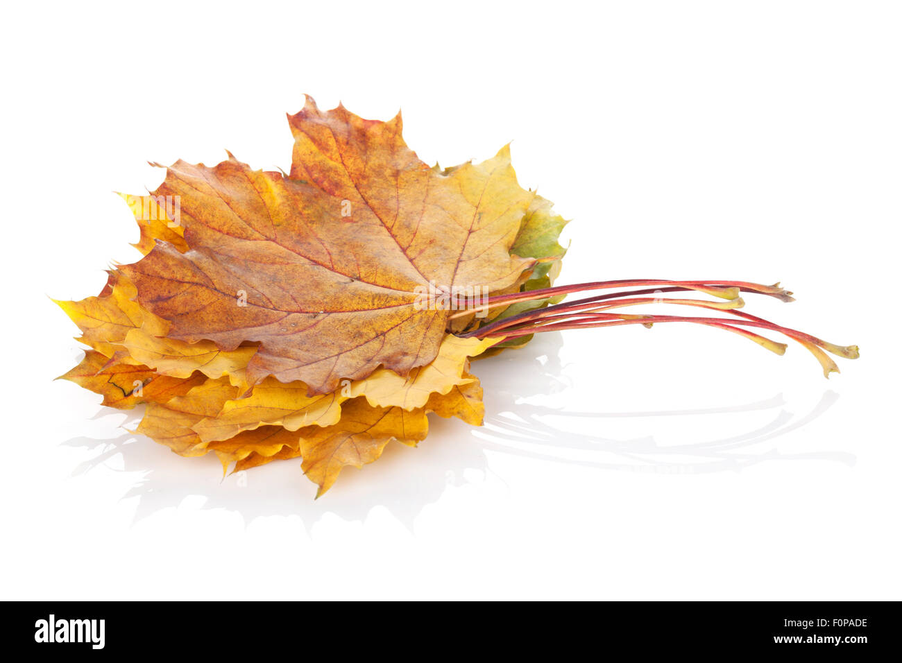 Ba leaves hi-res stock photography and images - Alamy