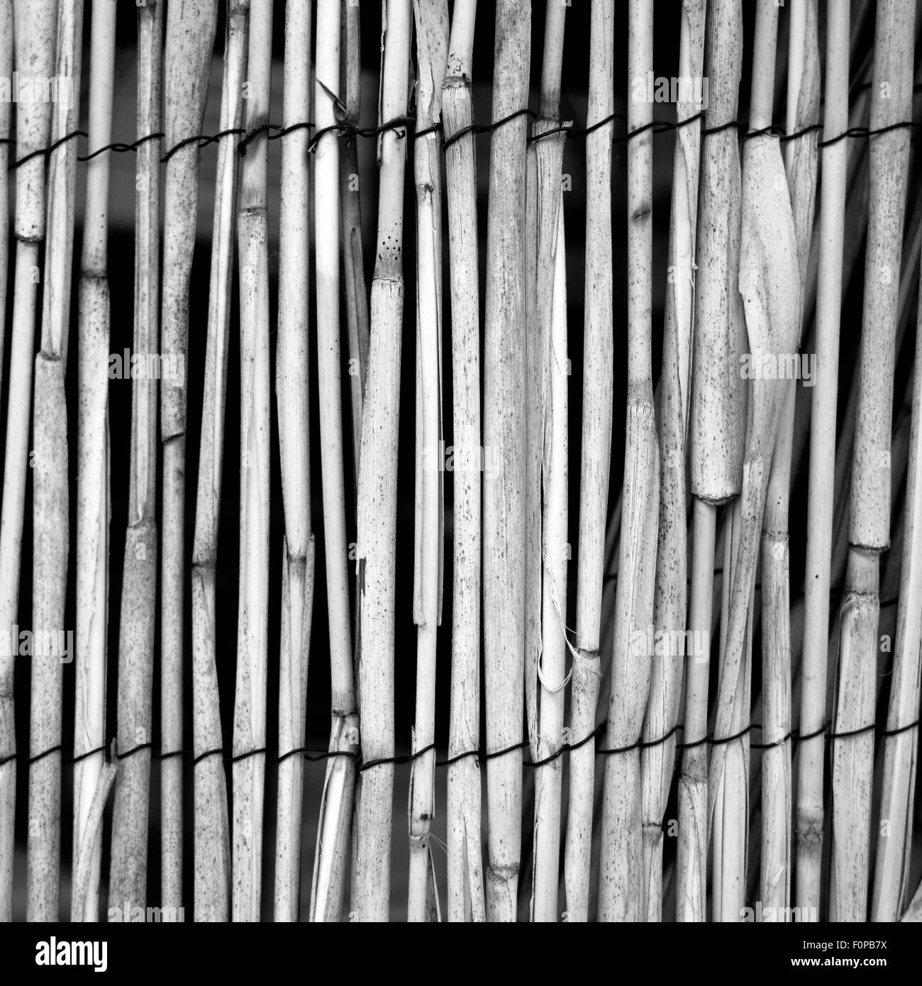 Bamboo screen background hi-res stock photography and images - Alamy