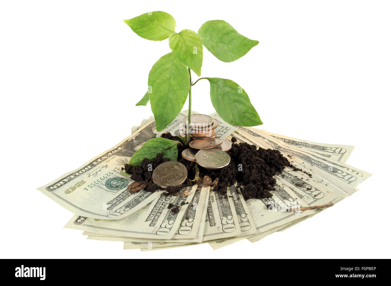 Seedling growing on money isolated on white Stock Photo - Alamy