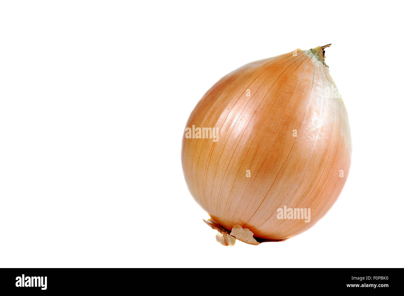 A single onion isolated on a white background Stock Photo - Alamy