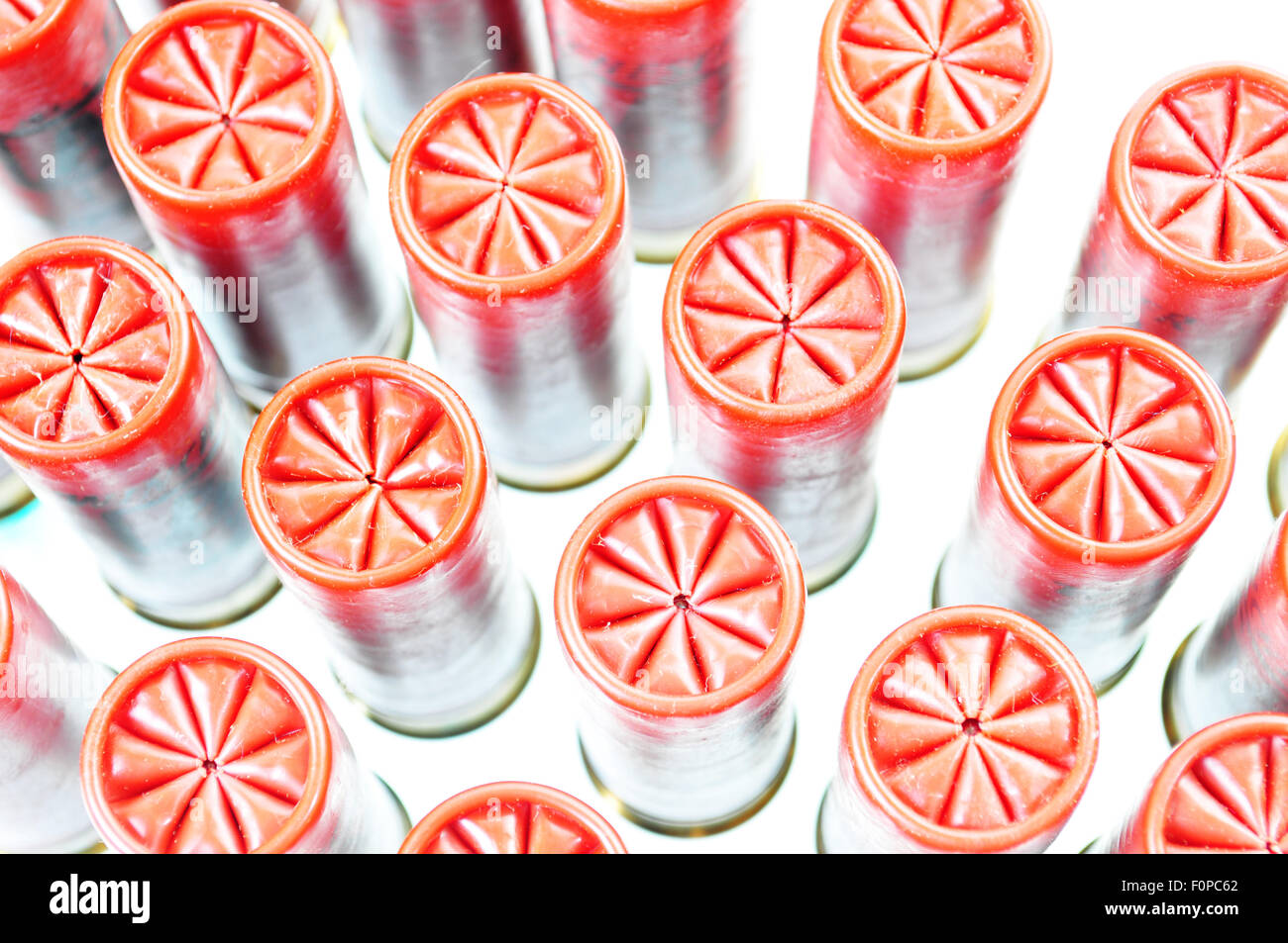 Group of shotgun shells isolated on white Stock Photo - Alamy