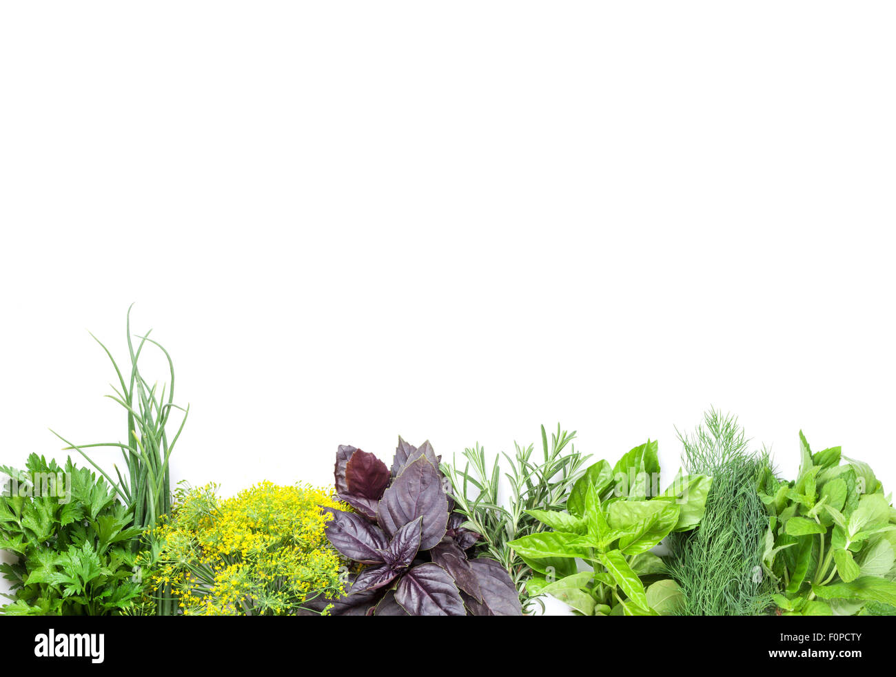 Fresh garden herbs. Isolated on white background Stock Photo - Alamy