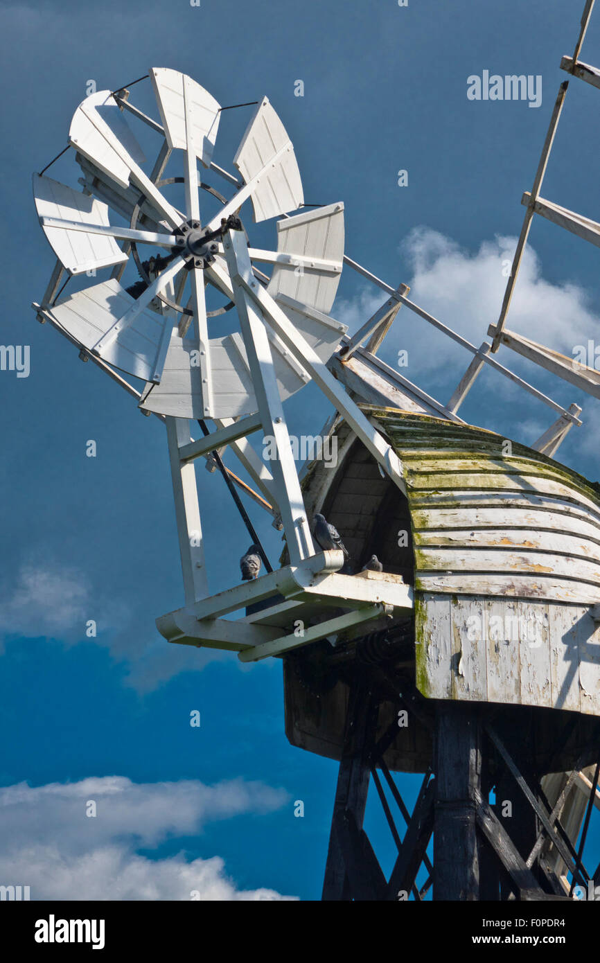 Tail fan tail hi-res stock photography and images - Alamy