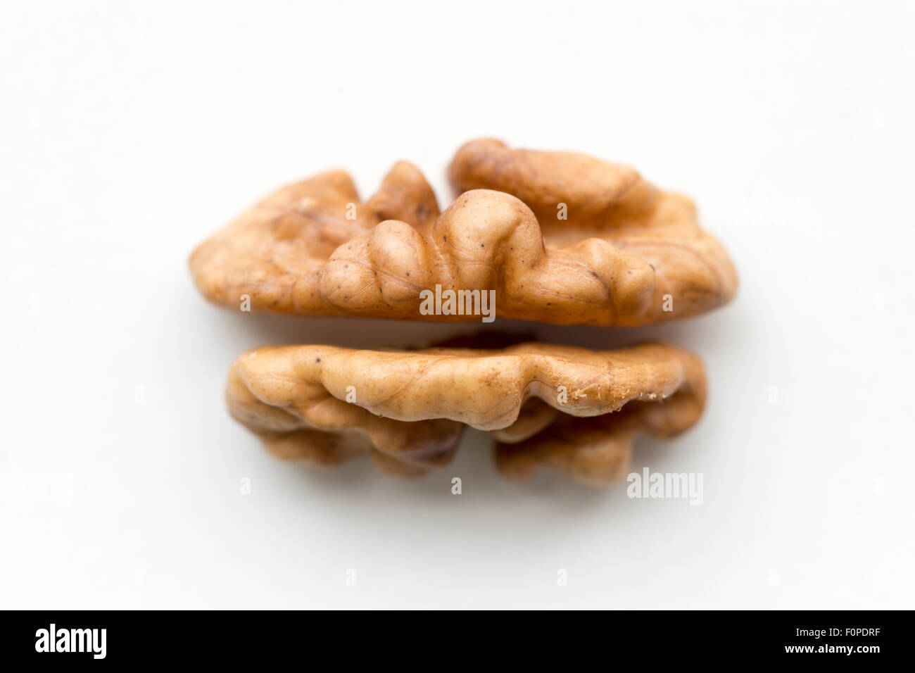 walnut core closeup isolated on white Stock Photo - Alamy