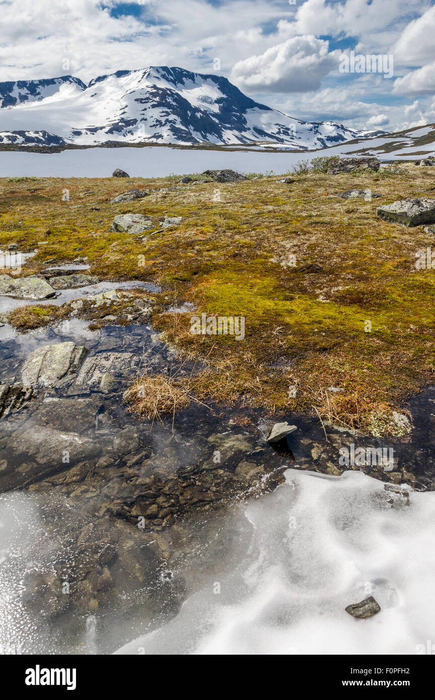 Mountain range above Skjolden, Norway Stock Photo - Alamy