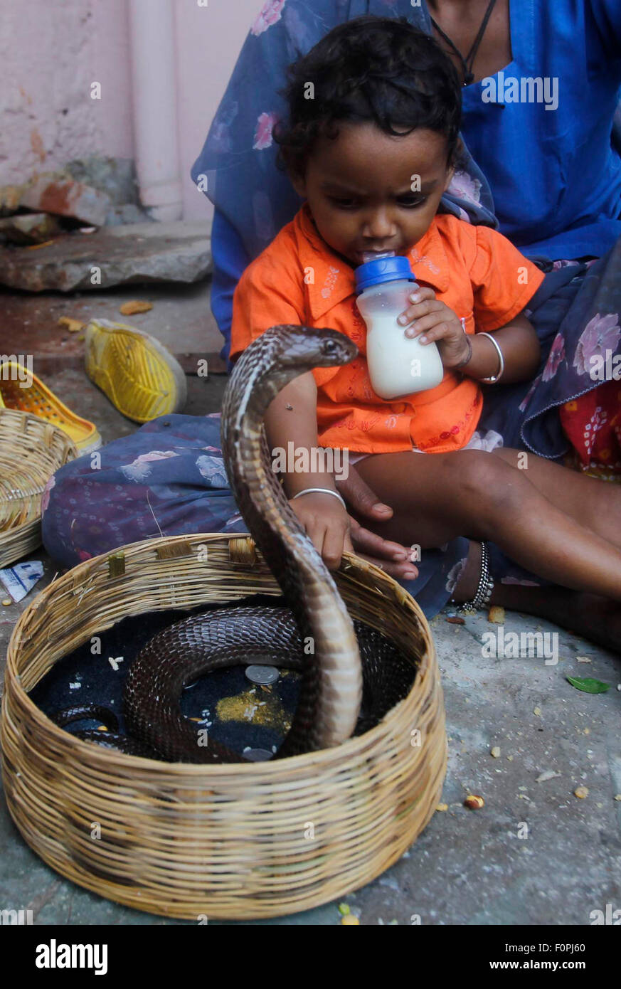 Allahabad, India. 19th Aug, 2015. A boy plays with cobra snake on the ...