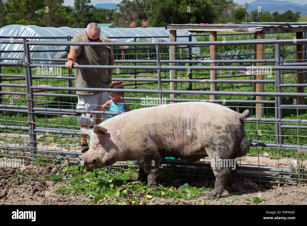 Wellington, Colorado - Harvest Farm, a rehabilitation facility for men ...