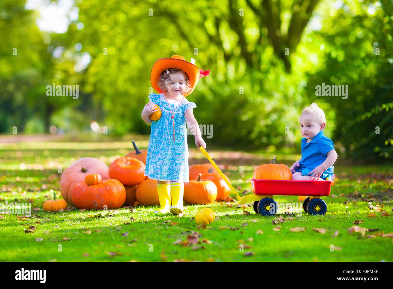 Kids playing at pumpkin patch at Halloween. Children play and pick ...