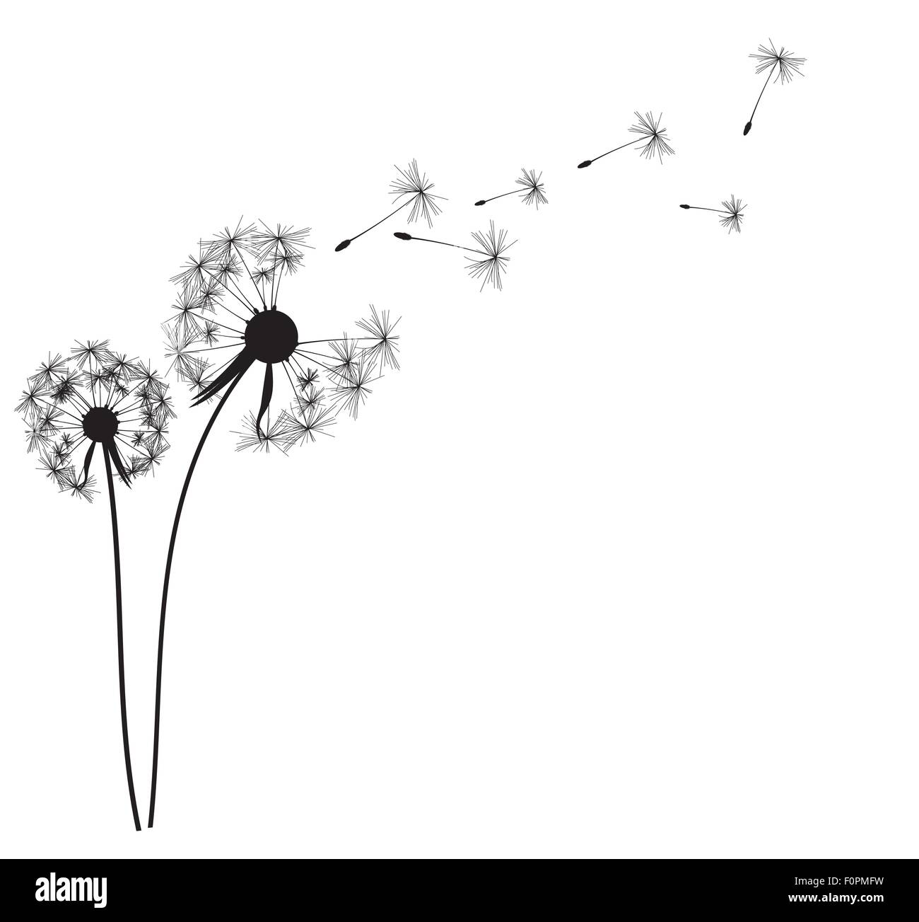 Abstract Dandelion Background Vector Illustration Stock Vector Image ...