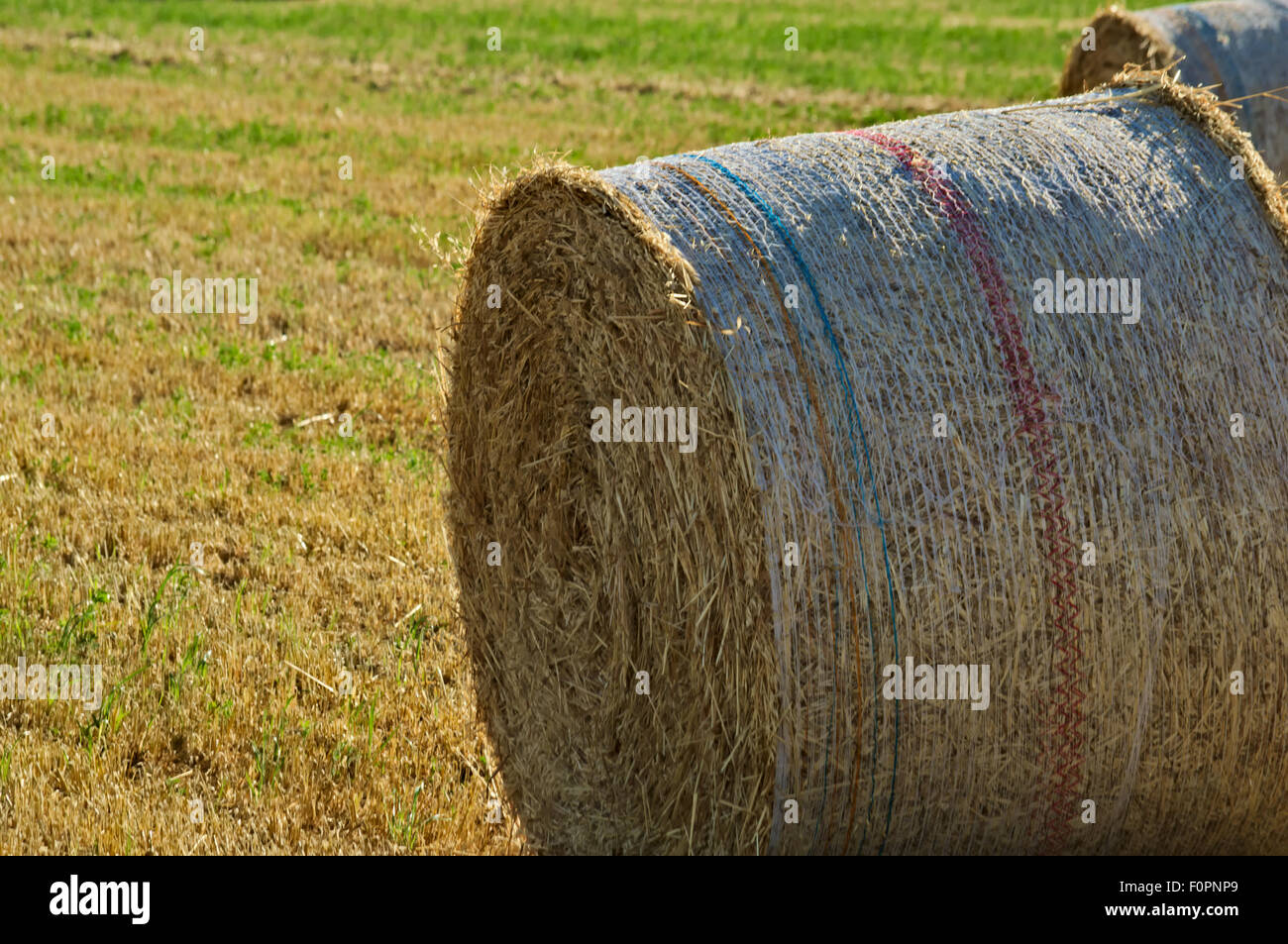 Roll roll wheat crop wheat hi-res stock photography and images - Alamy