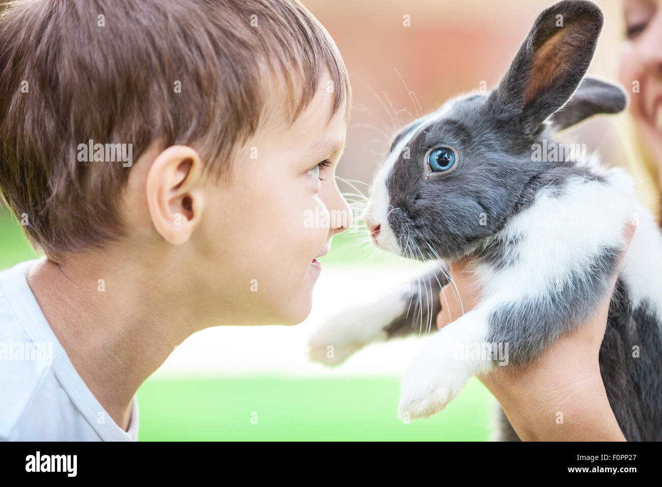 Child kid animal pet rabbit hi-res stock photography and images - Alamy